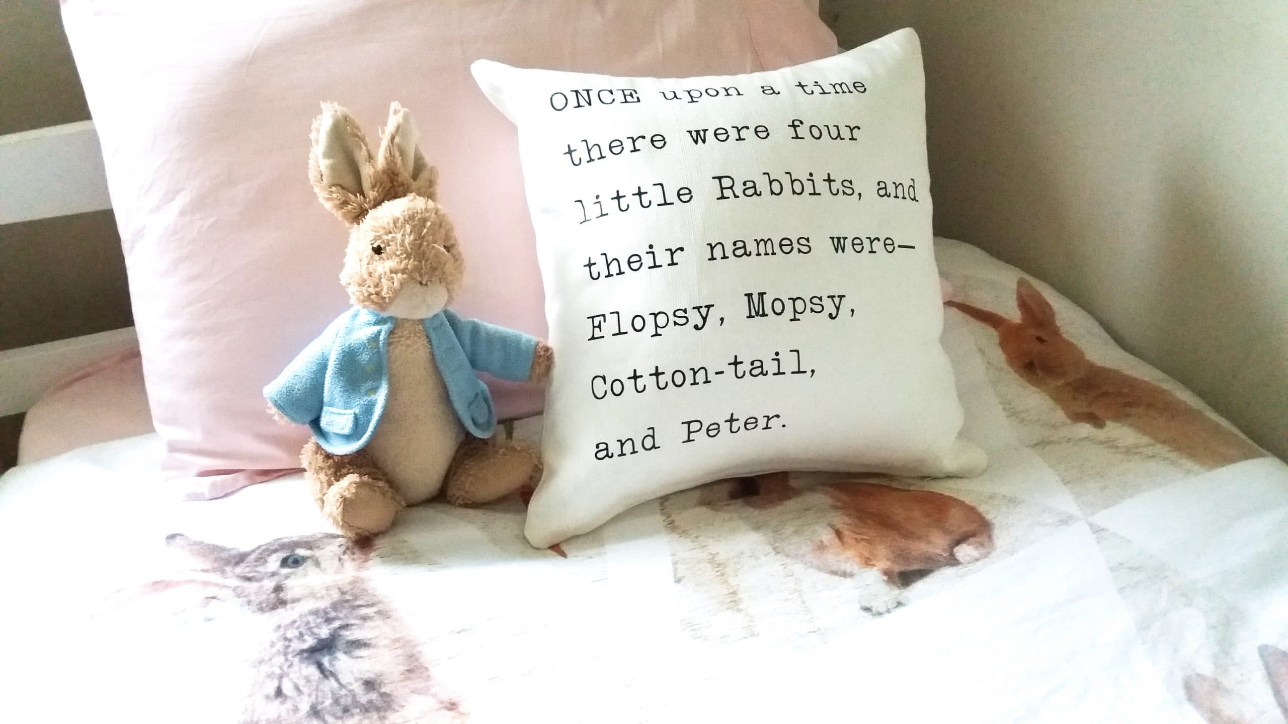 Cricut Iron On Lite Project - DIY Peter Rabbit Throw Pillow